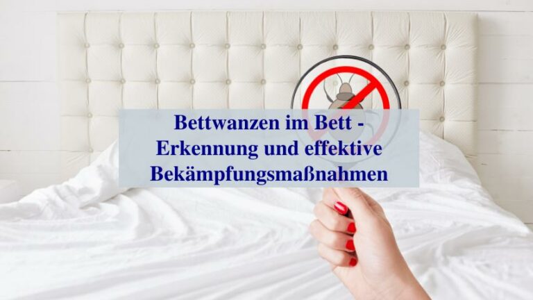 Bettwanzen im Bett - Erkennung und Bekämpfungsmaßnahmen